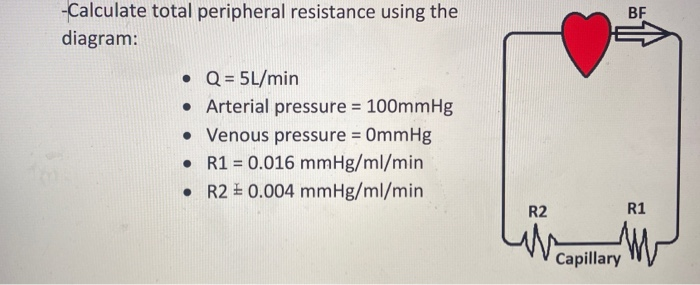 Solved BF -Calculate total peripheral resistance using the | Chegg.com