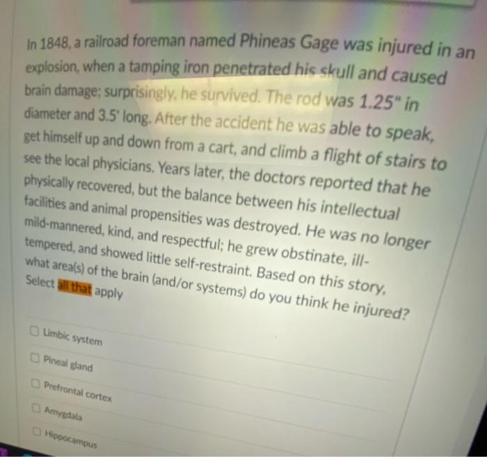 Solved In 1848, a railroad foreman named Phineas Gage was | Chegg.com