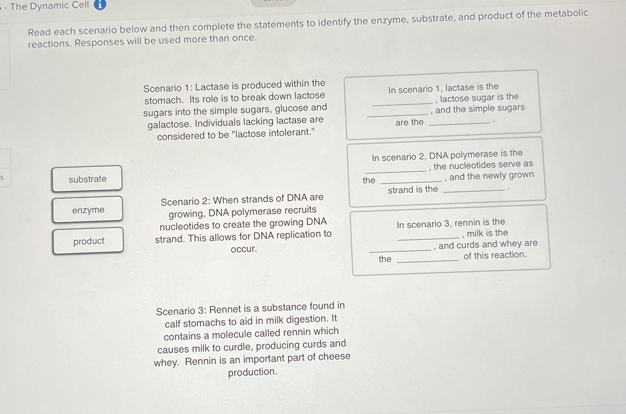 Solved The Dynamic Cell iRead each scenario below and then | Chegg.com