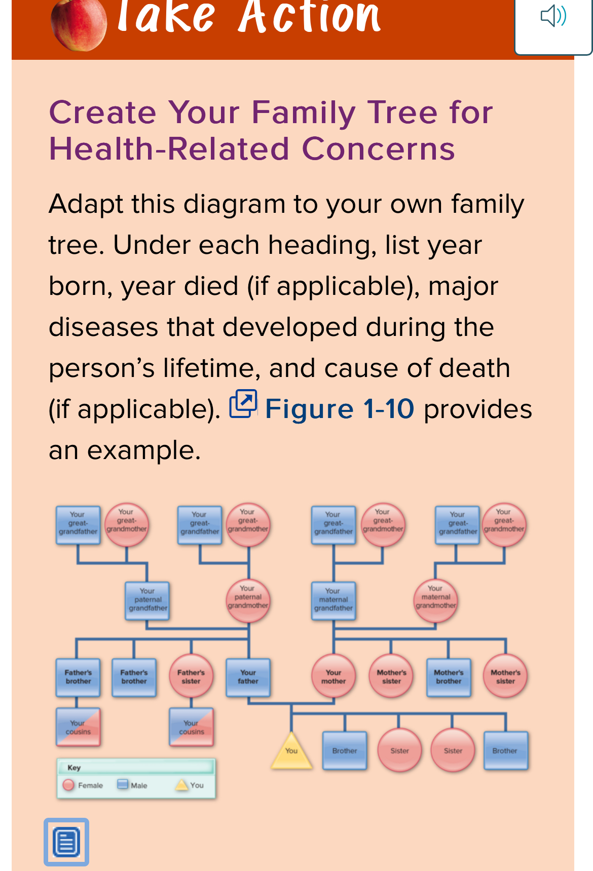 Solved (1) ﻿lake ActionCreate Your Family Tree for | Chegg.com