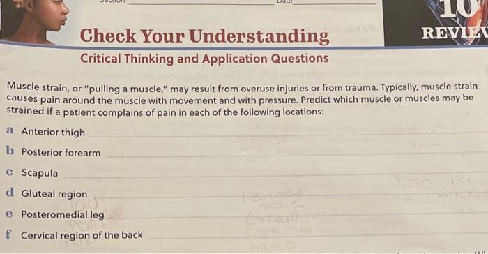 Solved Muscle strain, or "pulling a muscle," may result from | Chegg.com