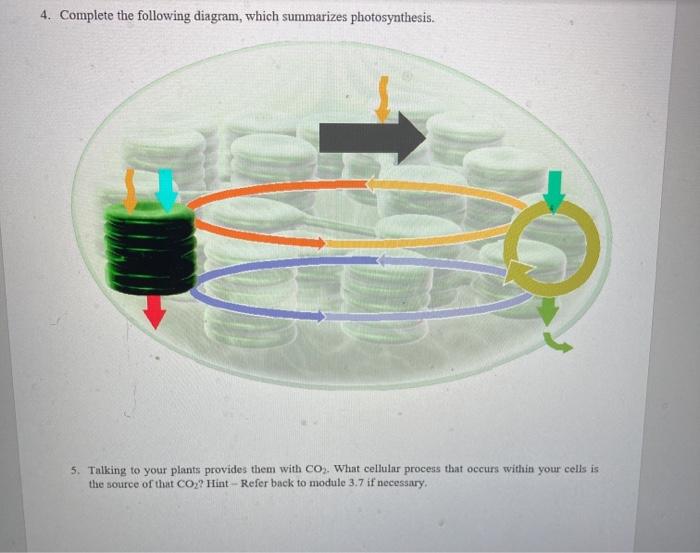Solved 4. Complete the following diagram, which summarizes | Chegg.com
