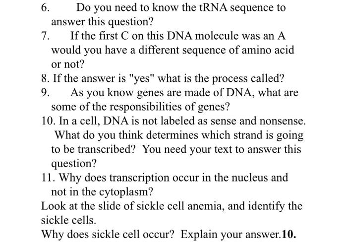 Solved Protein Synthesis: You will learn to assemble amino | Chegg.com