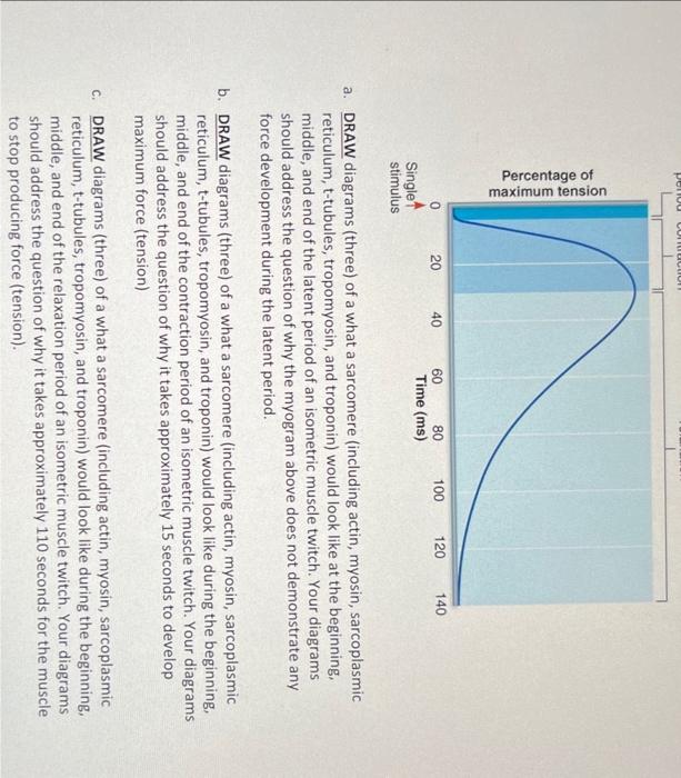 Solved a. DRAW diagrams (three) of a what a sarcomere | Chegg.com