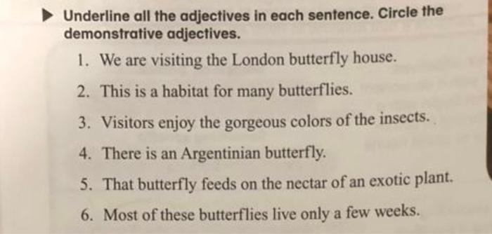 Underline all the adjectives in each sentence. Circle | Chegg.com