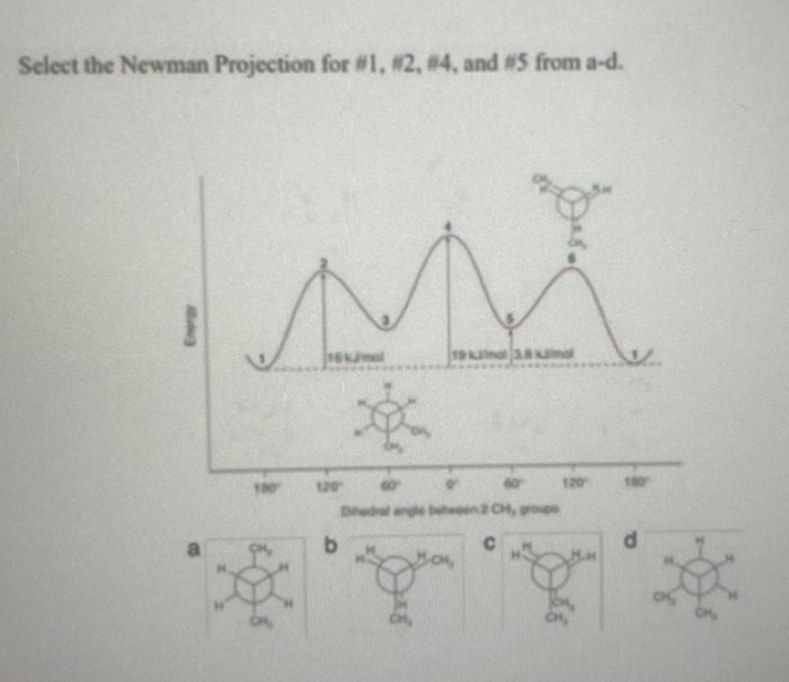 Solved Select the Newman Projection for #1, 12, "4, ﻿and "15 | Chegg.com