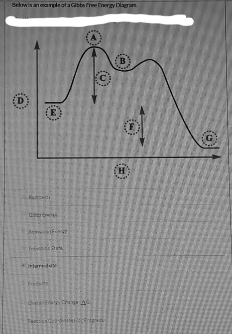 Solved Below is an example of a Gibbs Free Energy Diagram. | Chegg.com