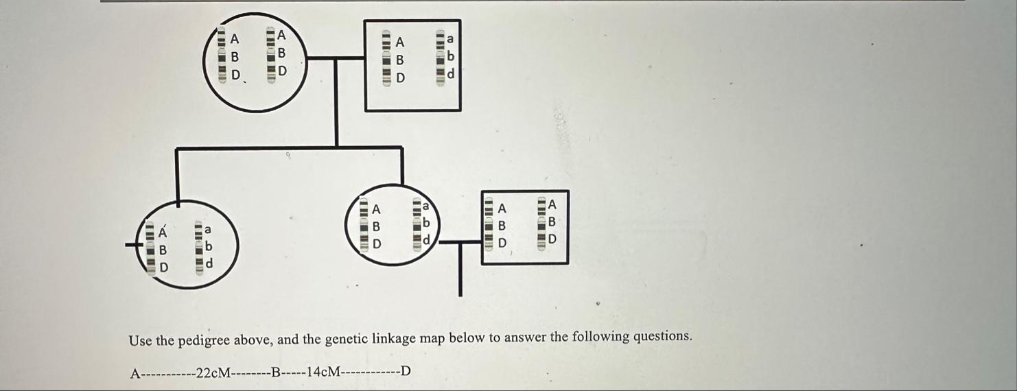 Solved Use the pedigree above, and the genetic linkage map | Chegg.com