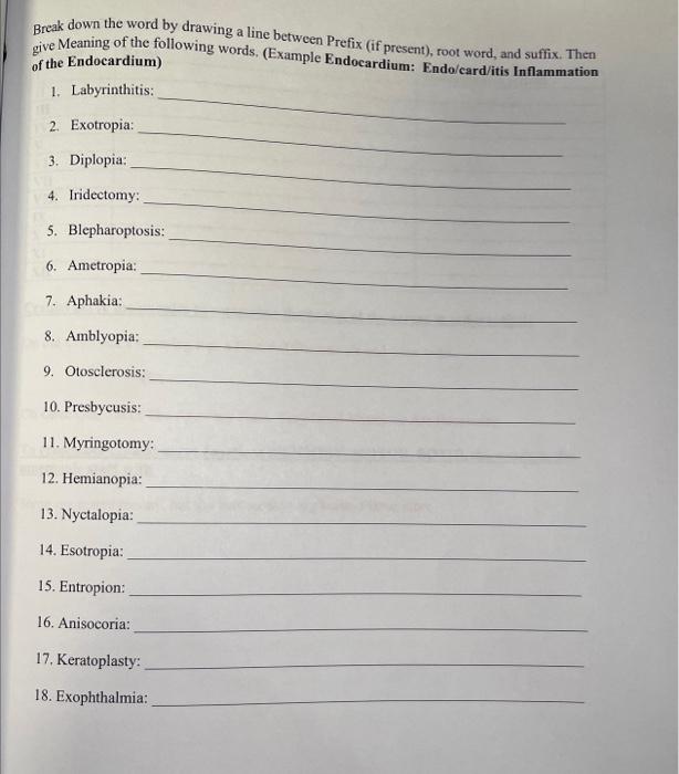 Solved Break down the word by drawing a line between Prefix | Chegg.com