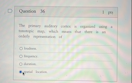 Solved Question 361 ﻿ptsThe primary auditory cortex is | Chegg.com