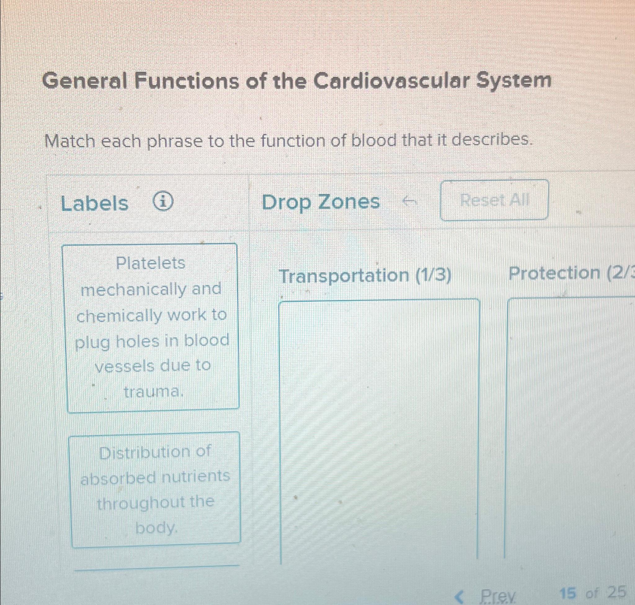 Solved General Functions of the Cardiovascular SystemMatch | Chegg.com