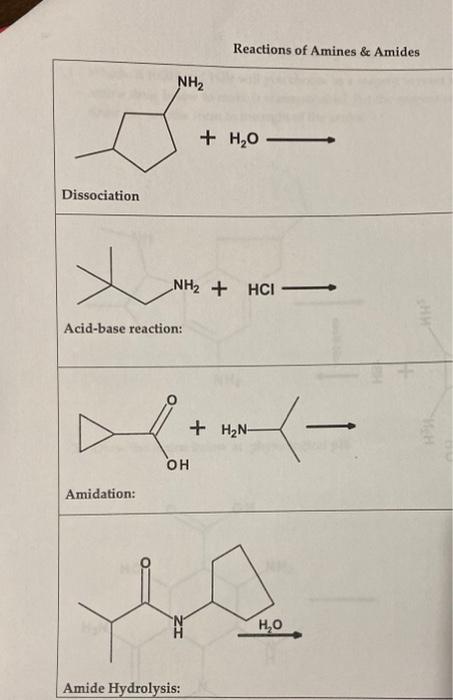Solved Reactions of Amines & Amides NH2 + H2O Dissociation | Chegg.com