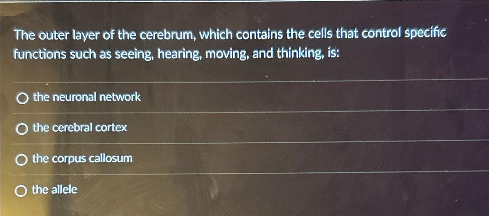 Solved The Outer Layer Of The Cerebrum Which Contains The