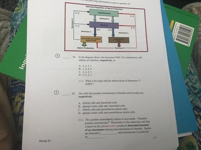 Solved Jalowing formationer om 19 Hormonal Region of Sper | Chegg.com