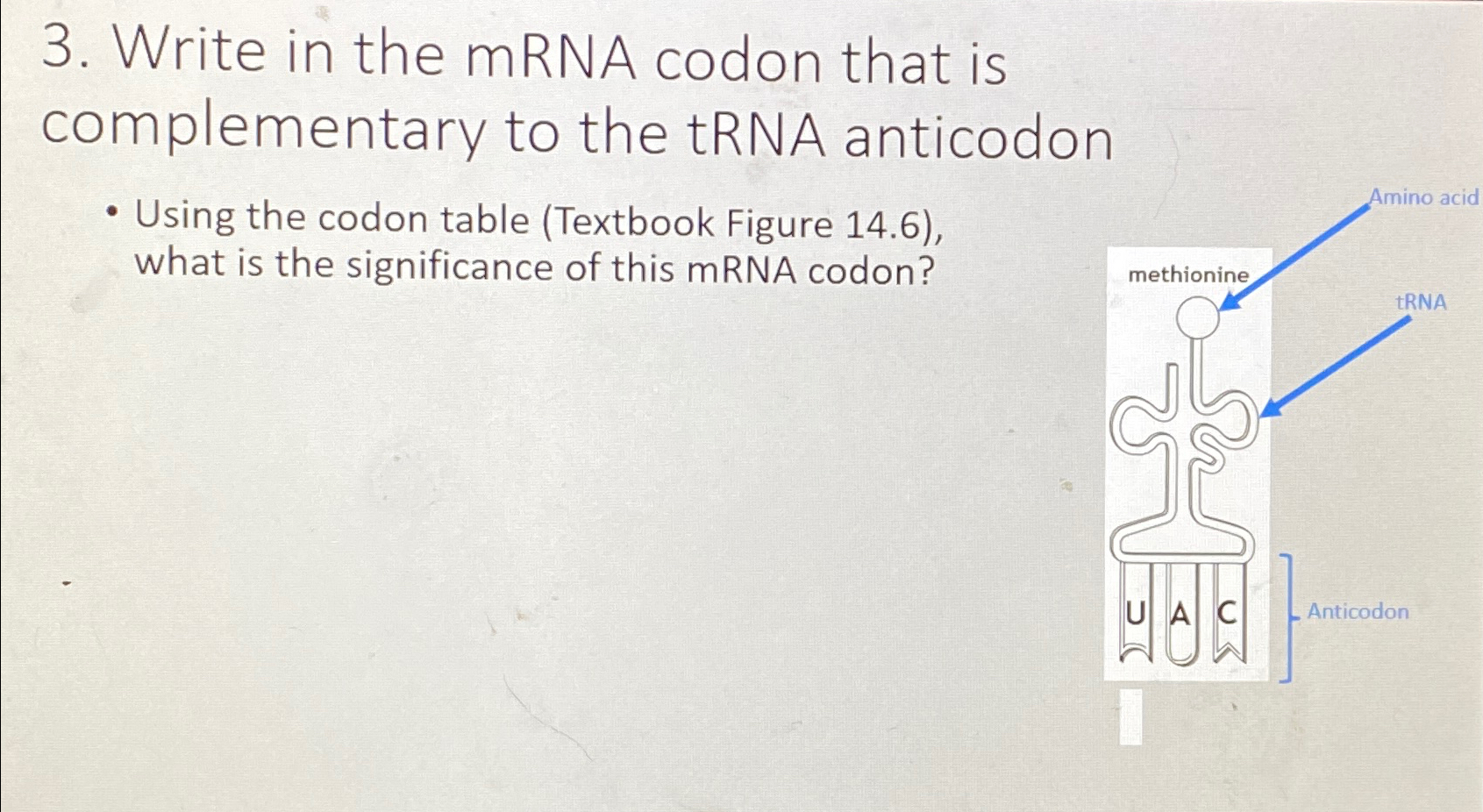 Solved Write in the mRNA codon that is complementary to the | Chegg.com