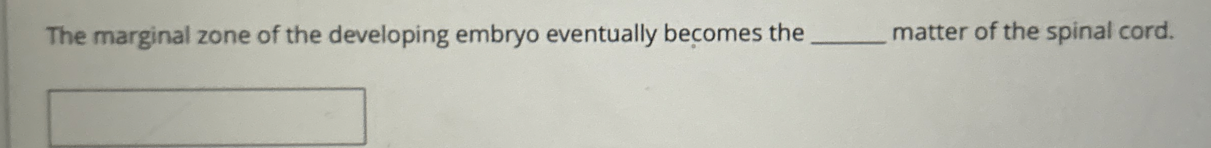 Solved The marginal zone of the developing embryo eventually | Chegg.com