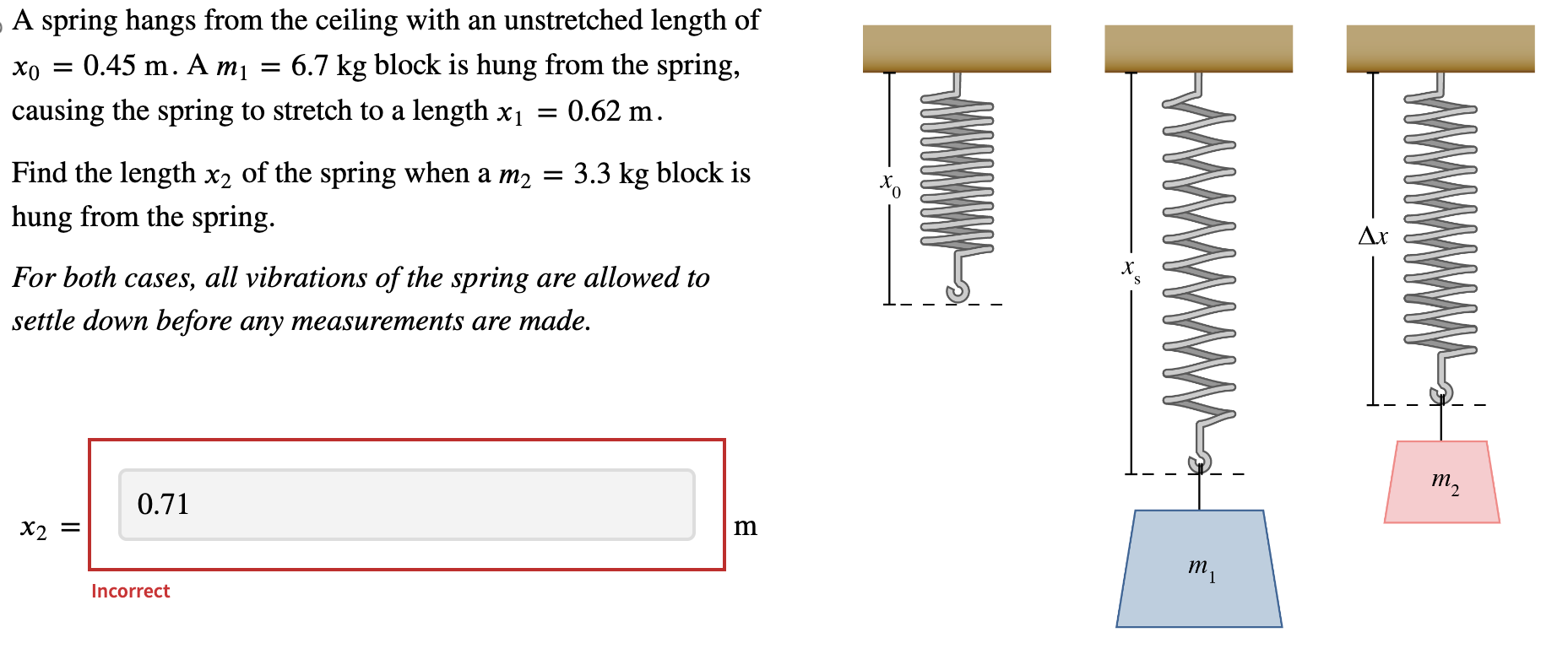 Solved A spring hangs from the ceiling with an unstretched | Chegg.com