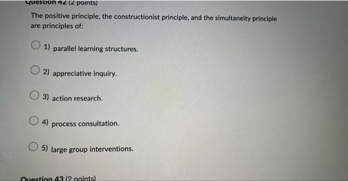 Solved The positive principle, the constructionist | Chegg.com