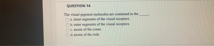 Solved QUESTION 11 In the early stages of peripheral rod | Chegg.com