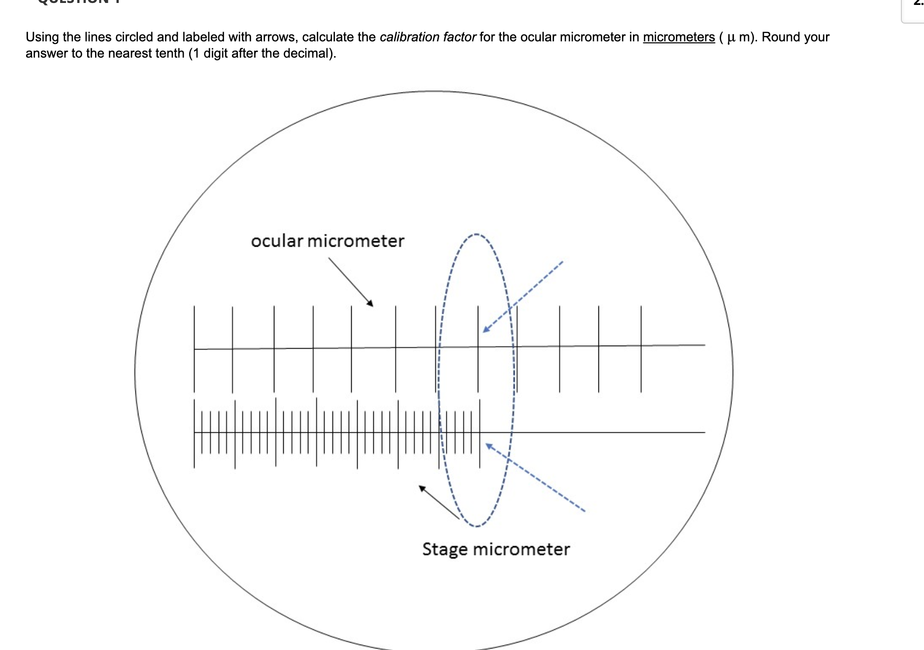 Solved Using the lines circled and labeled with arrows, | Chegg.com