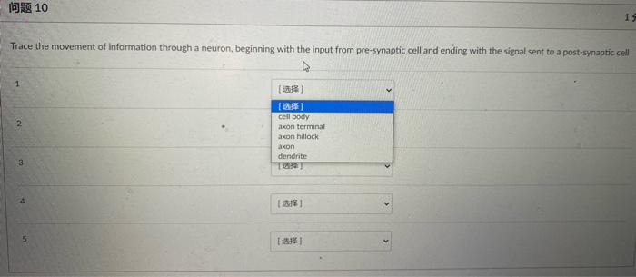 Solved la 8 Where does spatial summation occur in neurons? | Chegg.com