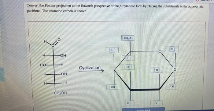Solved Convert the Fischer projection to the Haworth | Chegg.com