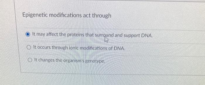 Solved Epigenetic modifications act through It may affect | Chegg.com