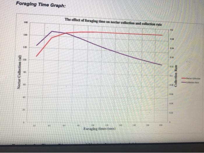 Solved Foraging Time Graph: The effect of foraging time on | Chegg.com
