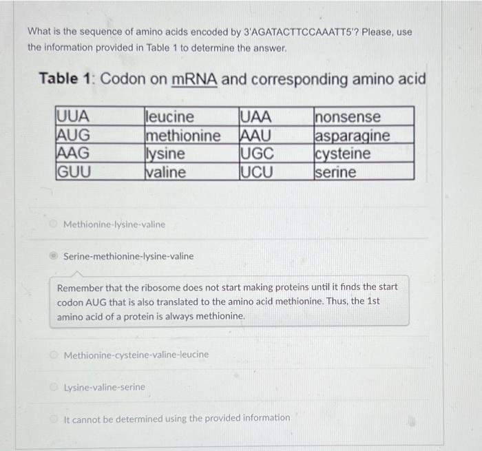 Solved The non-coding DNA strand of a portion of a gene | Chegg.com