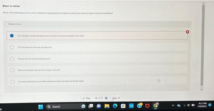 Solved Bean vs moize | Chegg.com