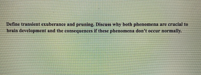 Solved Define transient exuberance and pruning. Discuss why | Chegg.com