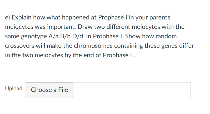 Solved e) ﻿Explain how what happened at Prophase I in your | Chegg.com