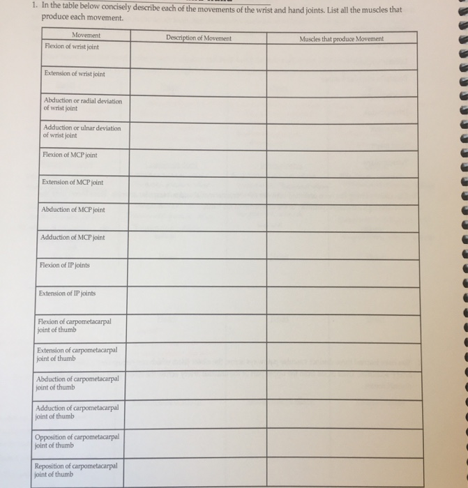 Solved 1. In the table below concisely describe each of the | Chegg.com