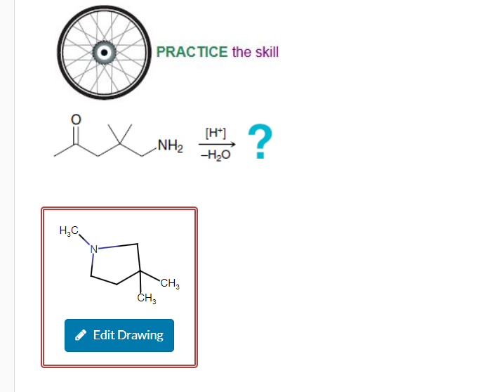 Solved What is the product of the Imine reaction? | Chegg.com