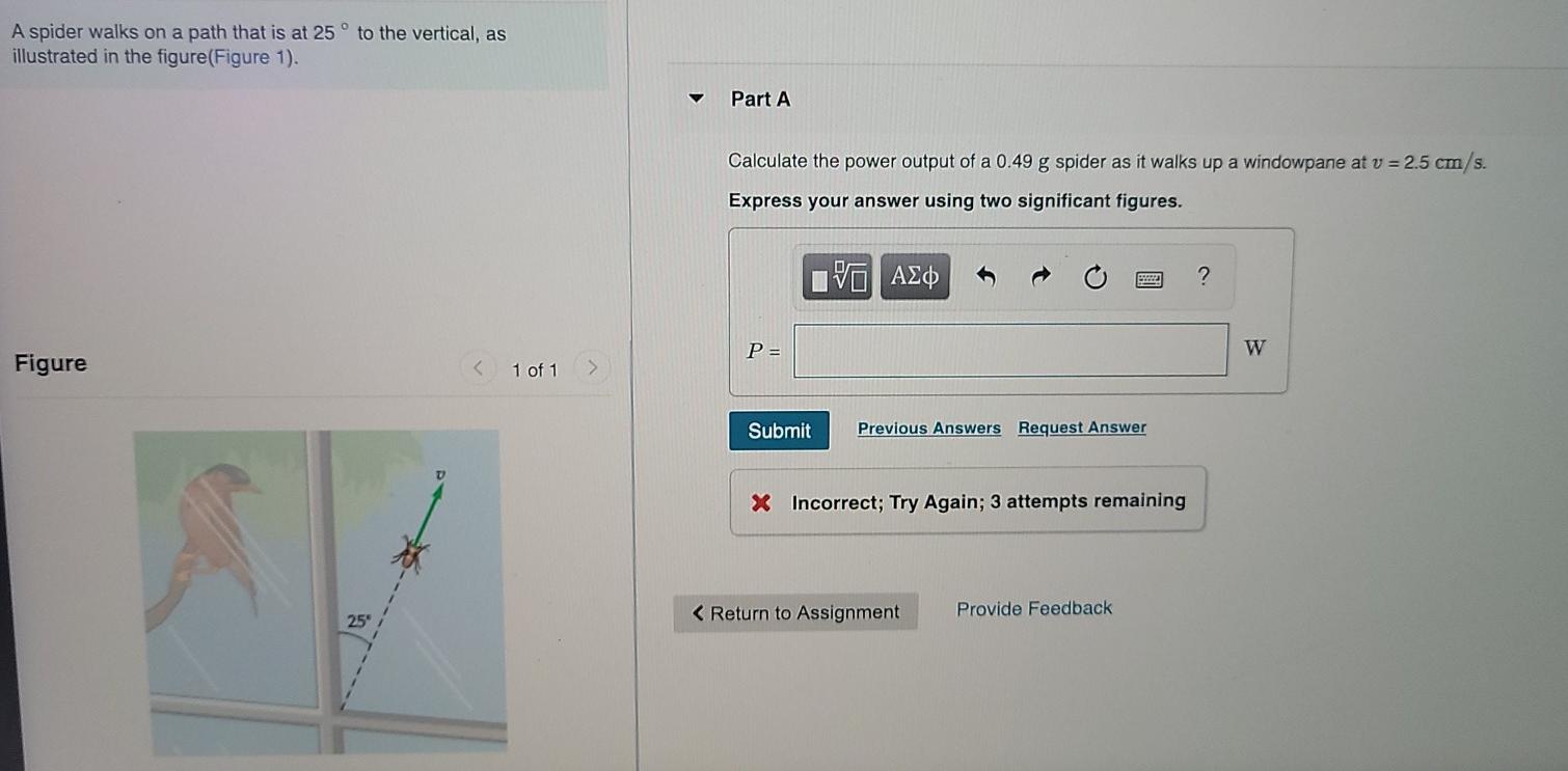 Solved A spider walks on a path that is 25° to the vertical. | Chegg.com