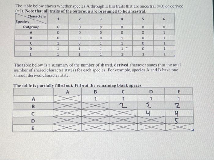 Solved I need help figuring out how the transitions | Chegg.com