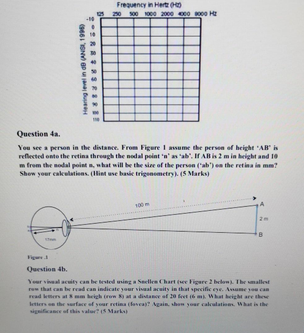Solved Frequency in Hertz (Hz) 500 1000 2000 4000 8000 Hz | Chegg.com