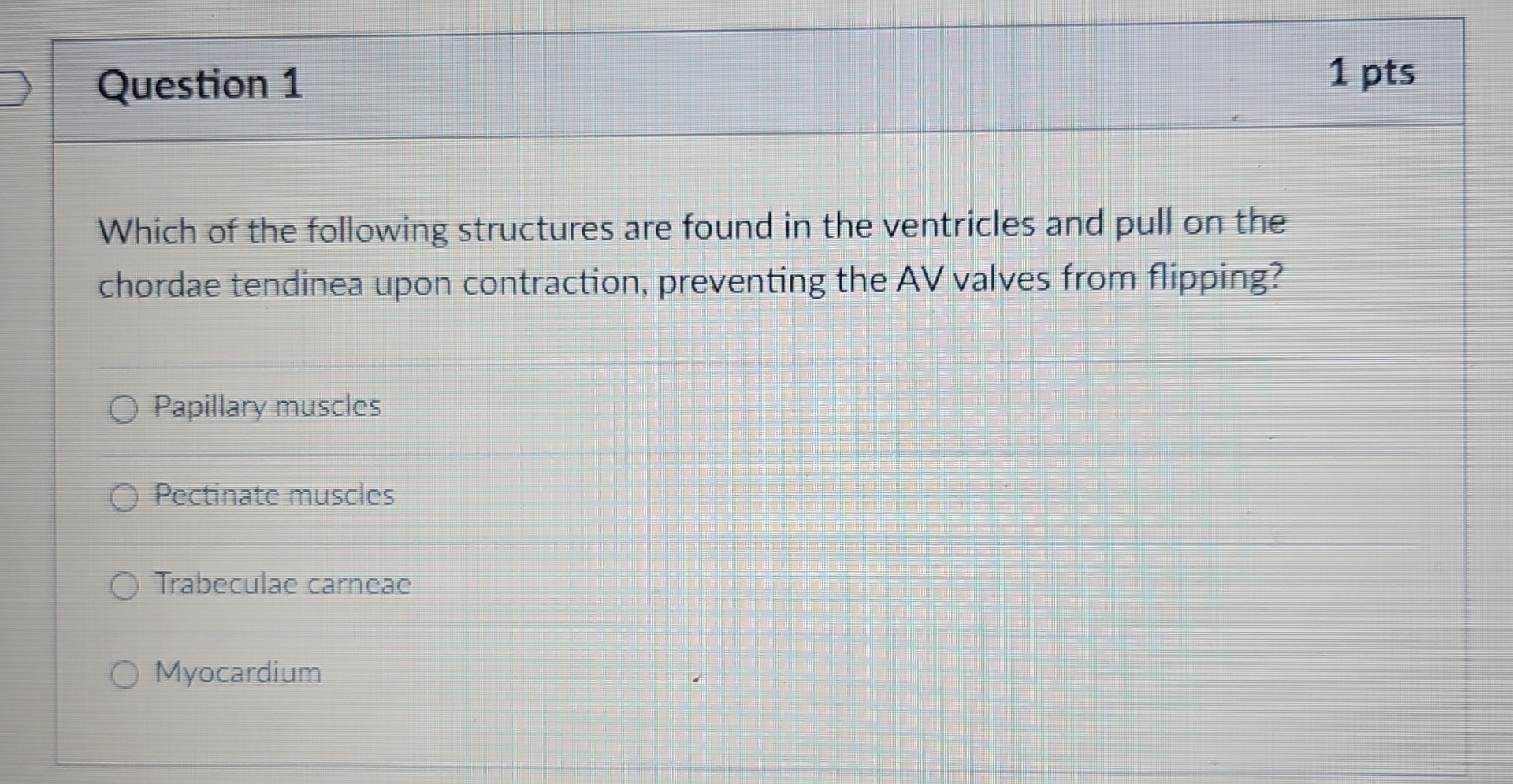 Solved Question 11 ﻿ptsWhich of the following structures are | Chegg.com