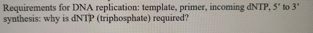 Solved Requirements for DNA replication: template, primer, | Chegg.com