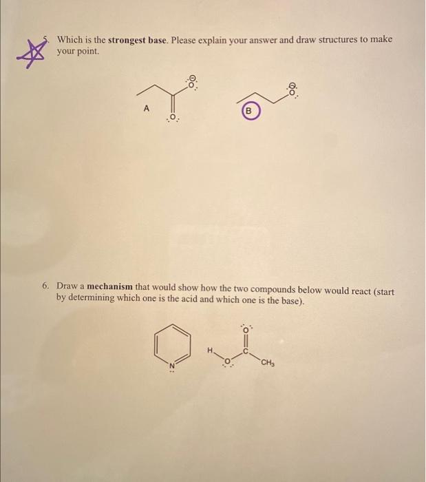 Solved Which is the strongest base. Please explain your | Chegg.com