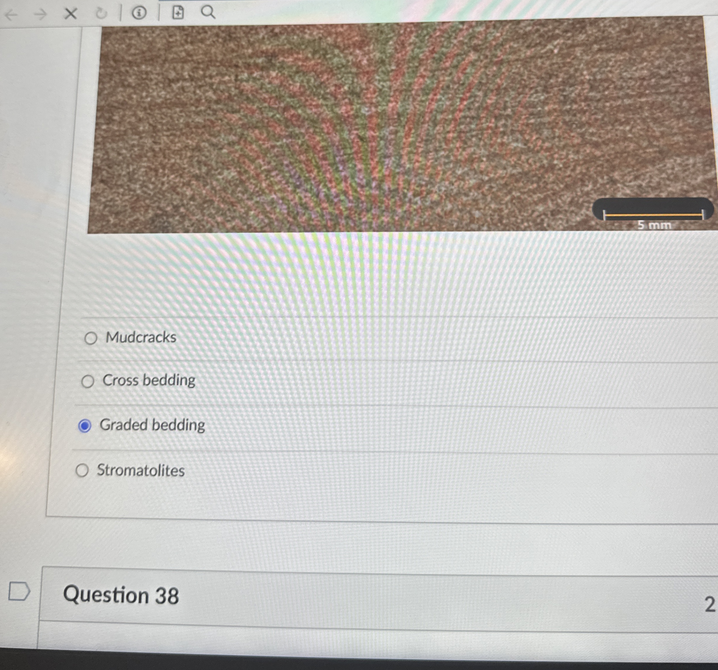 Solved There are several observations that you can make | Chegg.com