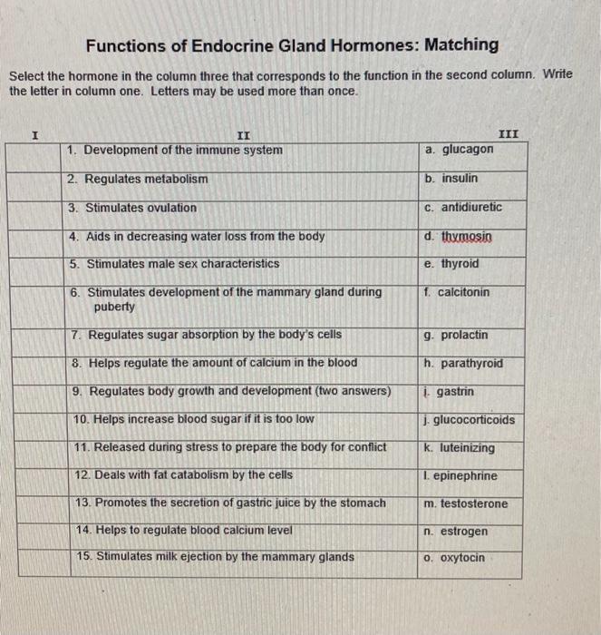 Solved Functions of Endocrine Gland Hormones: Matching | Chegg.com