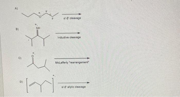 Solved Inductive cleavage C) Mclafierty "rearrangement" D) | Chegg.com