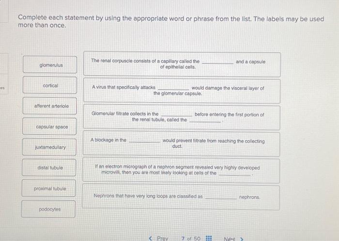 Solved Complete each statement by using the appropriate word | Chegg.com