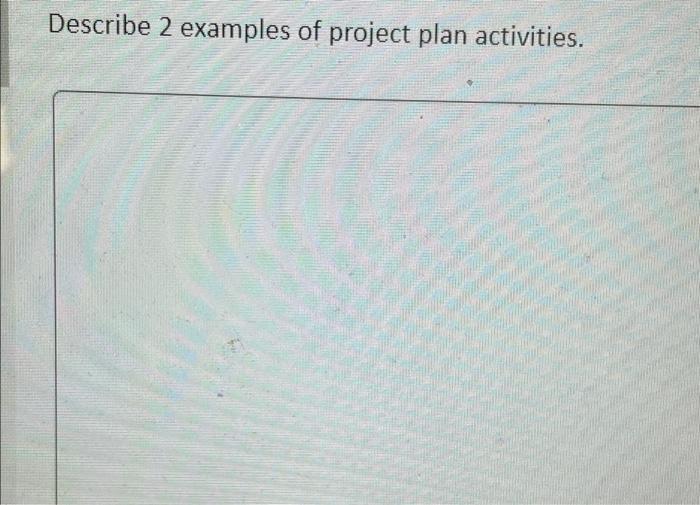Solved Describe 2 Examples Of Project Plan Activities Chegg