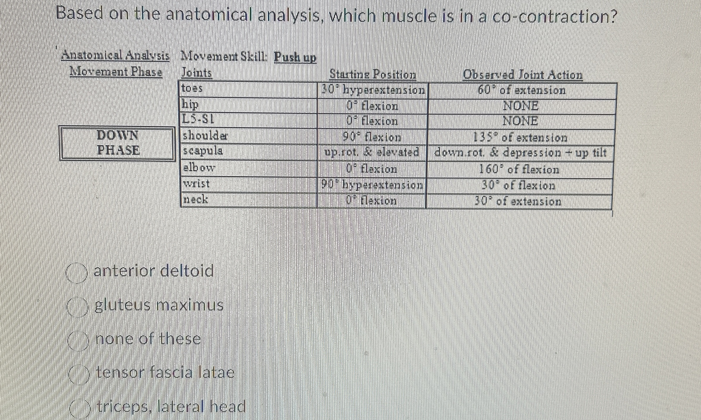 Solved Based on the anatomical analysis, which muscle is in | Chegg.com