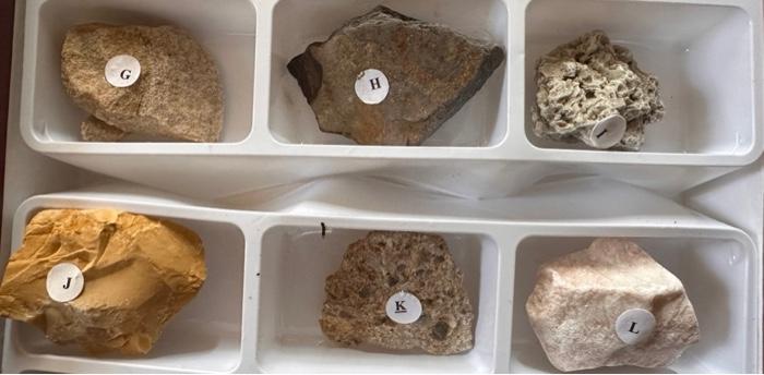Solved Table 6. Sedimentary Rock Identification | Chegg.com