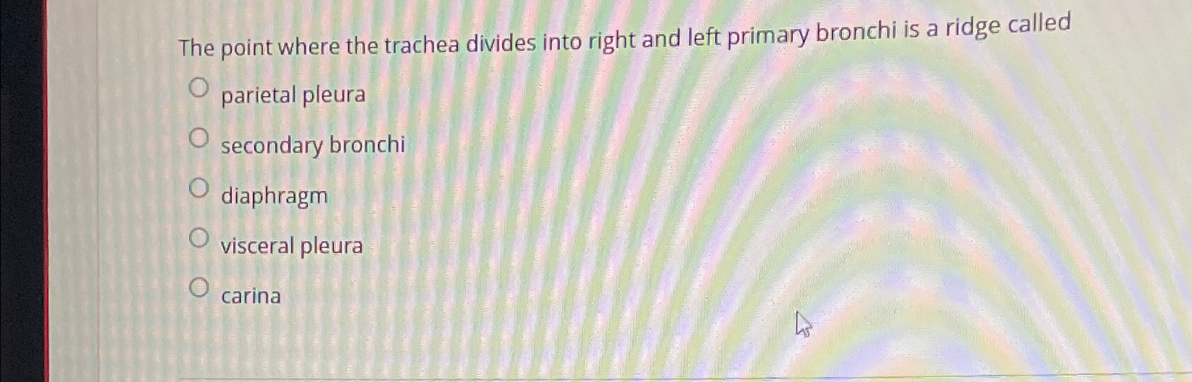 Solved The point where the trachea divides into right and | Chegg.com