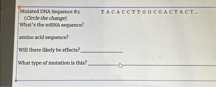 Solved Mutated DNA Sequence \#2 TACACCT T G G C G A C TAC | Chegg.com