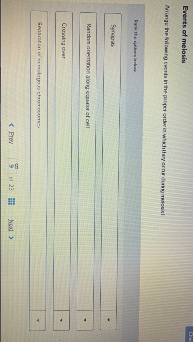Solved Events of meiosis Arrange the following events in the | Chegg.com